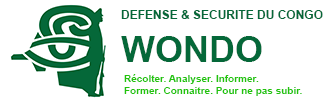 DESC-Wondo-Logo - Desk Africain d'Analyses Stratégiques